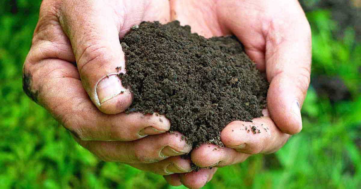 How to Build Soil: 5 Free Ways - Happy Simple Living