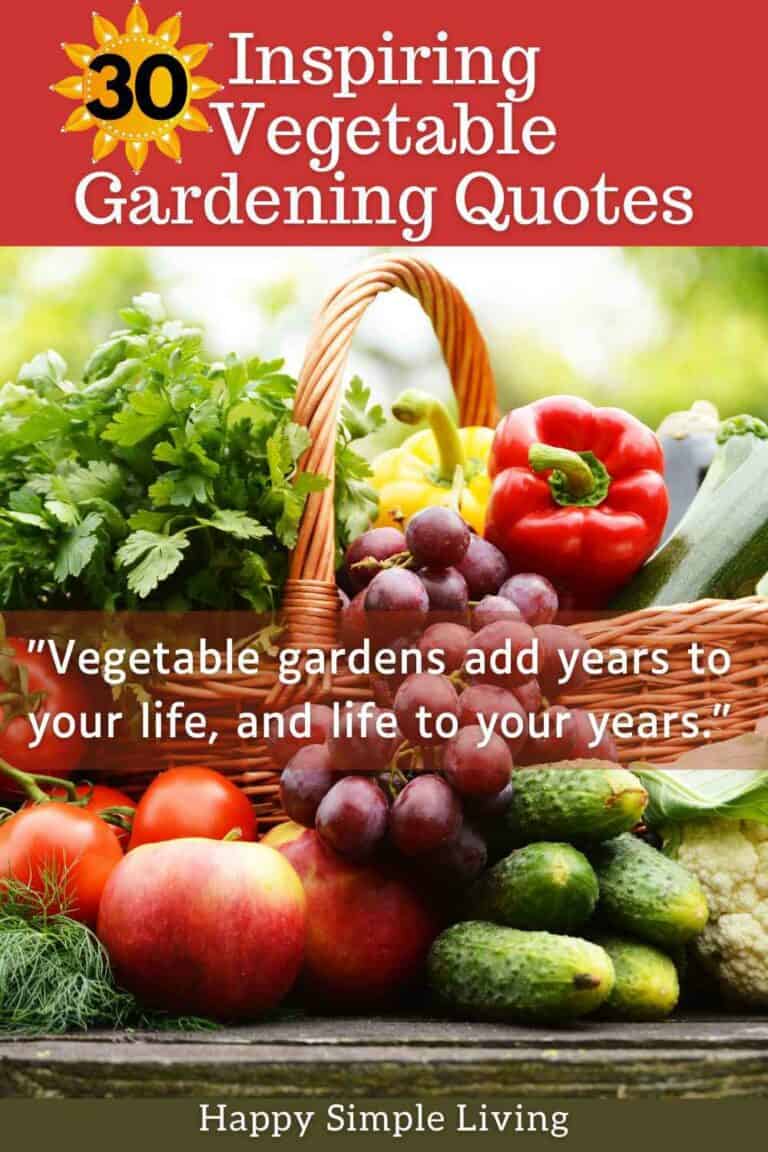 30 Best Inspiring Vegetable Gardening Quotes - Happy Simple Living