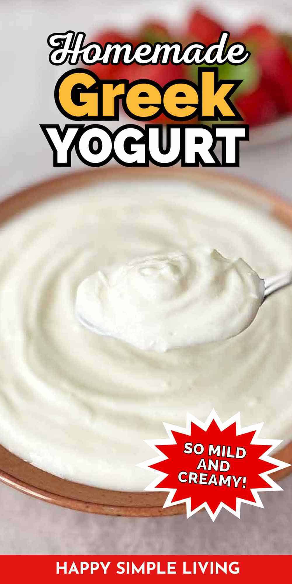 How to Make Greek Yogurt (with Regular Yogurt as Starter) - Happy ...