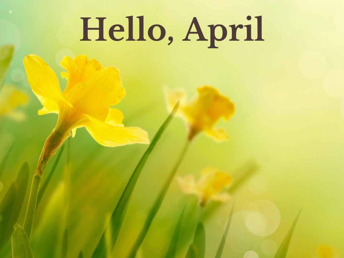 Easy Times, April 1, 2024 - Happy Simple Living